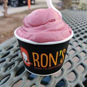 RON’S GOURMET ICE CREAM - 34 Photos & 90 Reviews - 1231 Hyde Park Ave ...