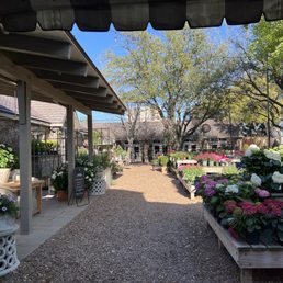 TINY BOXWOODS - Updated July 2025 - 1710 Photos & 1571 Reviews - 3614 W Alabama St, Houston ...