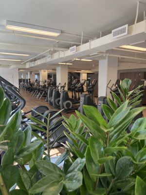 HEALTHWORKS FITNESS CENTERS - BACK BAY - Updated December 2025 - 29 ...