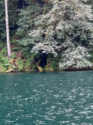 LAKE MERWIN CAMPER’S HIDEAWAY - Updated December 2025 - 10 Photos & 11 ...