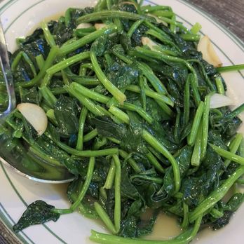 MCCB CHICAGO 时尚食谱 - Updated March 2025 - 1879 Photos & 982 Reviews ...