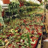 CALIFORNIA CACTUS RANCH - 283 Photos & 75 Reviews - Nurseries ...