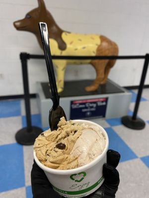 UCONN DAIRY BAR - Updated December 2025 - 402 Photos & 324 Reviews - 17 ...