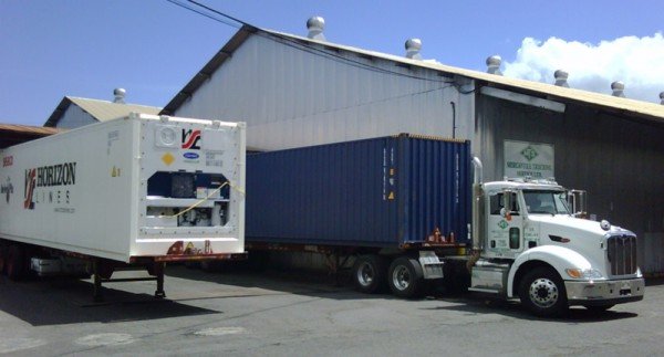 MFS FREIGHT SERVICE - Updated October 2025 - 11 Photos & 14 Reviews ...