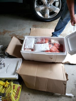 HOMER FISH PROCESSING - Updated July 2024 - 13 Photos & 43 Reviews ...