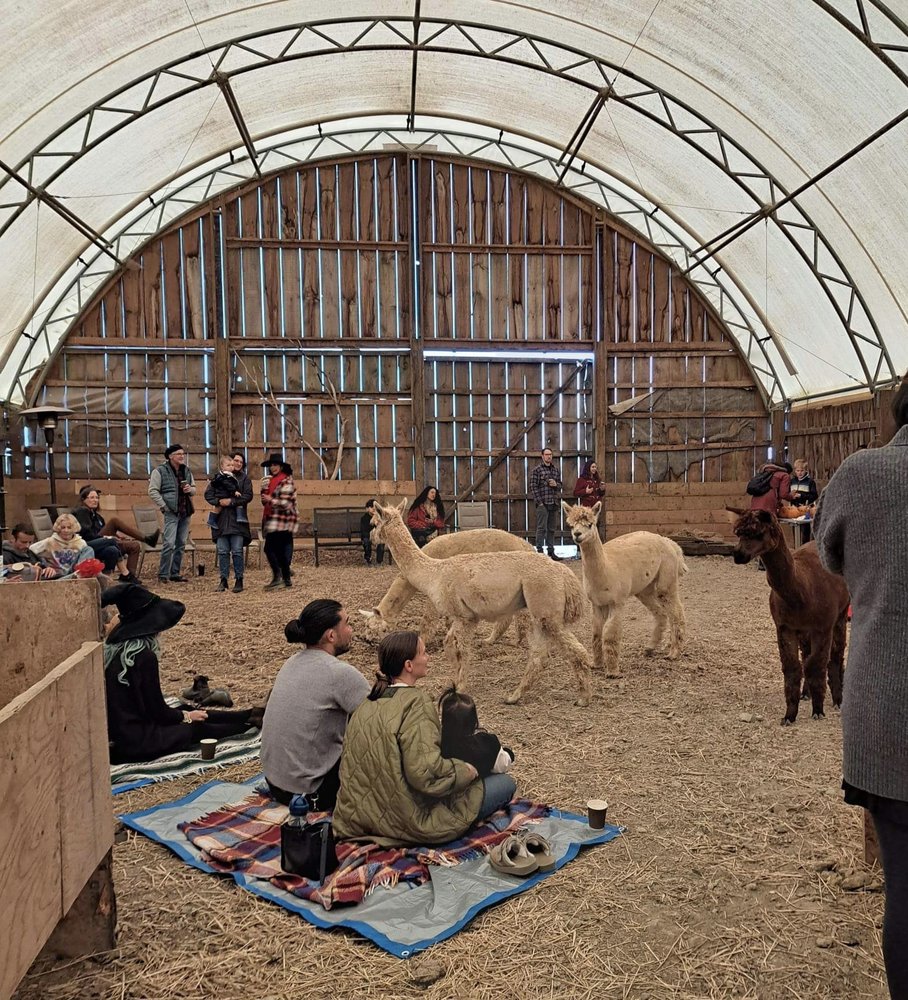 TIMBUKTU ALPACA & AGRI-TOURISM FARM - Updated October 2025 - 10 Photos ...