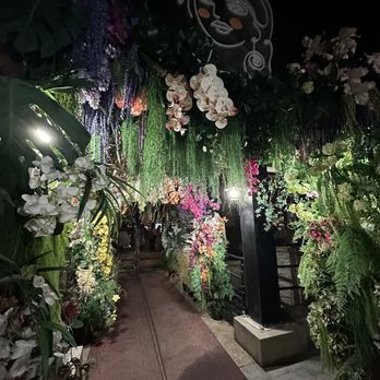 DELBAR MIDDLE EASTERN - 313 Photos & 117 Reviews - 4120 Old Milton Pkwy ...