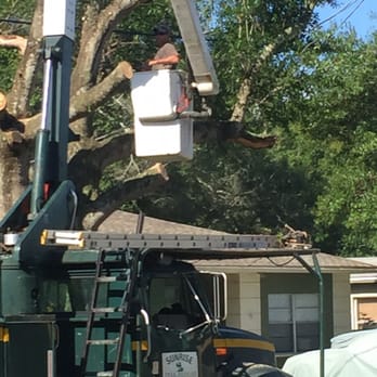 SUNRISE TREE SERVICE - Updated December 2025 - 16 Photos & 16 Reviews ...