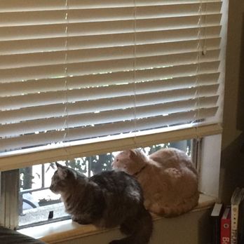 GREATER BIRMINGHAM HUMANE SOCIETY - Updated October 2025 - 50 Photos ...