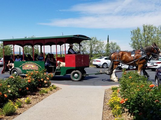 PONTE WINERY - 1804 Photos & 1139 Reviews - Wineries - 35053 Rancho ...