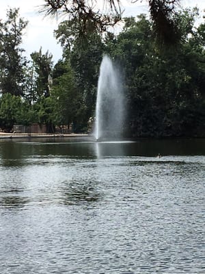 ROEDING PARK - Updated July 2025 - 15 Photos & 15 Reviews - 890 W ...