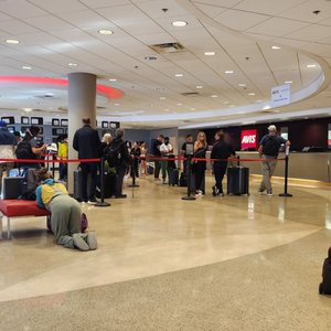 FOX RENT A CAR - Updated September 2025 - 196 Photos & 1216 Reviews ...