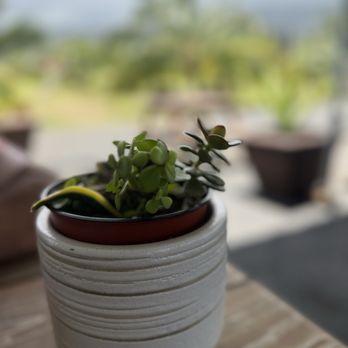 ULA’ULA CAFE - Updated December 2024 - 272 Photos & 122 Reviews - 1765 ...