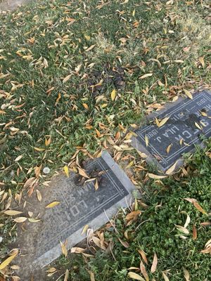 MONTECITO MEMORIAL PARK AND MORTUARY - Updated November 2025 - 211 ...