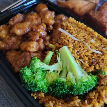 RED DRAGON CHINESE FOOD - Updated December 2025 - 67 Photos & 180 ...