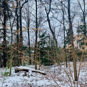 SPRINGBANK PARK - Updated October 2025 - 12 Photos - 1958 Storybook ...