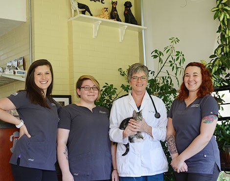 SOUTH POINTE ANIMAL HOSPITAL - Updated January 2026 - 2547 Ga Hwy 88 ...
