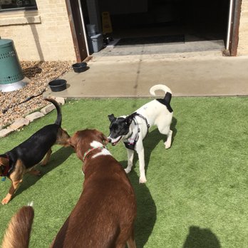 BARK BAR & GRILLE - Updated January 2026 - 106 Photos & 45 Reviews ...