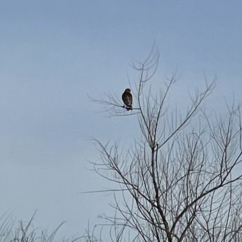 RIVERBOTTOM PARK - Updated October 2025 - 16 Photos - Fresno ...