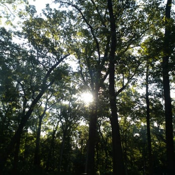 TIPPECANOE RIVER STATE PARK - Updated December 2025 - 34 Photos & 11 ...