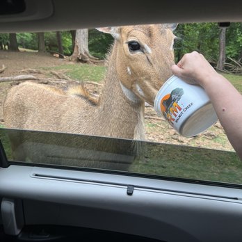 LAZY 5 RANCH - Updated November 2024 - 859 Photos & 278 Reviews - 15100 ...