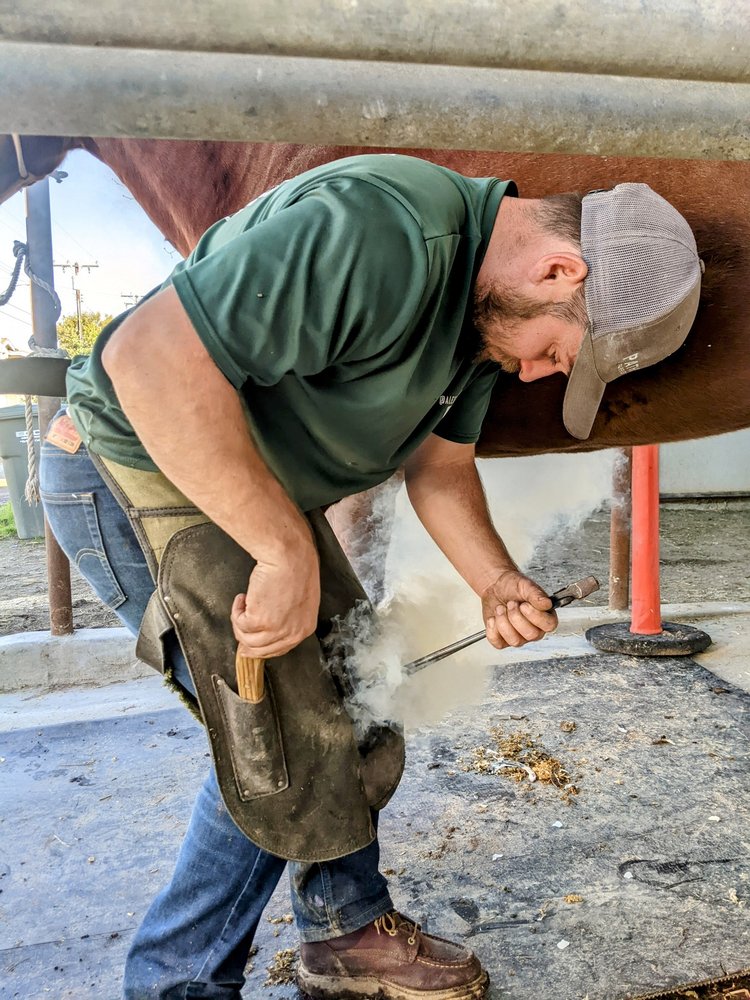 ALEX DELONG’S FARRIER SERVICES - Updated September 2025 - 10 Photos ...