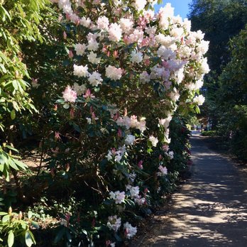 CANNIZARO PARK - 60 Photos - Wimbledon, London, United Kingdom - Parks ...