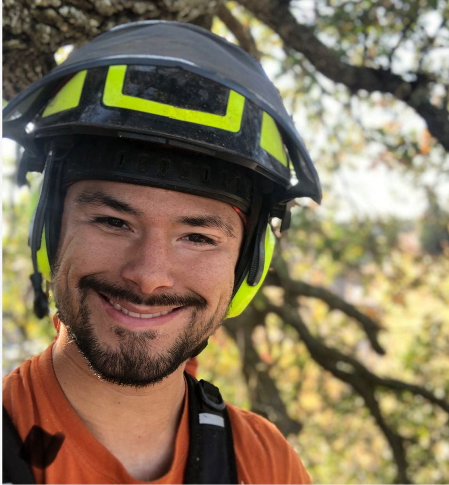 STUMP BROS - Updated January 2026 - 12 Photos - Austin, Texas - Tree ...