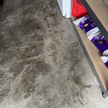 POINTE PEST CONTROL - Updated October 2025 - 14 Photos & 55 Reviews ...