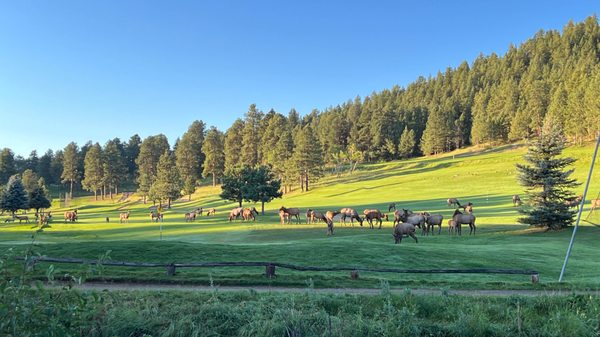 EVERGREEN GOLF COURSE - Updated May 2025 - 29614 Upper Bear Creek Rd ...