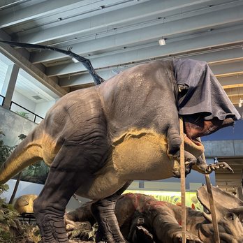 SAINT LOUIS SCIENCE CENTER - Updated April 2025 - 722 Photos & 260 ...