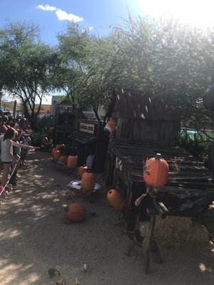 ENCHANTED PUMPKIN GARDEN - Updated November 2025 - 163 Photos & 32 ...