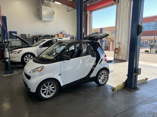 CHAMPS FAMILY AUTOMOTIVE - Updated December 2025 - 29 Photos & 67 ...