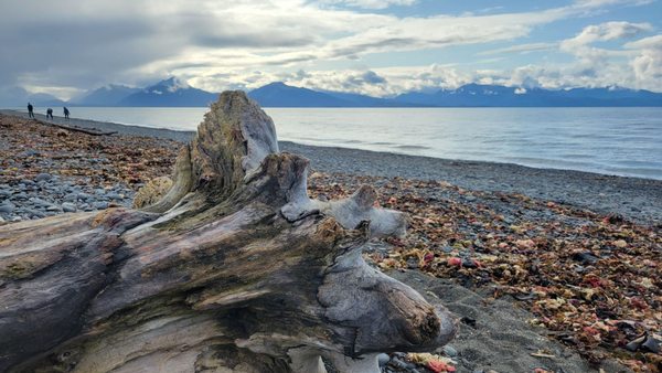 BISHOP’S BEACH - Updated July 2025 - 38 Photos & 10 Reviews - Bunnell ...