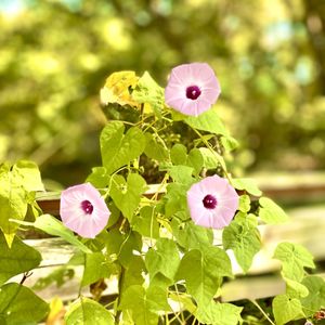 TYE PRESTON MEMORIAL LIBRARY - Updated October 2025 - 14 Photos - 16311 ...