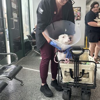 911 VET CARE - Updated December 2025 - 108 Photos & 313 Reviews - 42053 ...