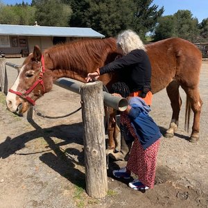 FIVE BROOKS RANCH - 186 Photos & 310 Reviews - Horseback Riding - 8001 ...