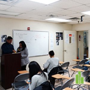 BRAINSEED TESTING CENTER - Updated May 2025 - 102-50 67th Dr, Forest ...