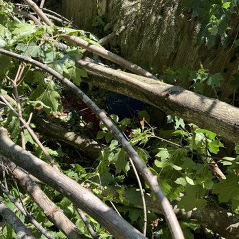 STANLEY TREE SERVICE - Updated October 2025 - 16 Photos & 59 Reviews ...