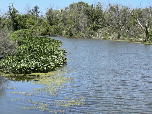 GALIEN RIVER COUNTY PARK - 17424 Red Arrow Hwy, New Buffalo, Michigan ...