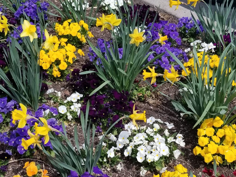 FRANKLIN PUBLIC LIBRARY - 44 E 4th St, Franklin, Ohio - Libraries ...