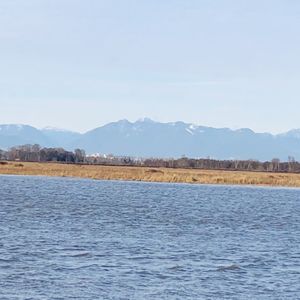 CENTENNIAL BEACH - BOUNDARY BAY REGIONAL PARK - 104 Photos & 27 Reviews ...
