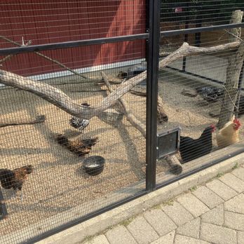 COSLEY ZOO - Updated December 2025 - 330 Photos & 150 Reviews - 1356 N ...