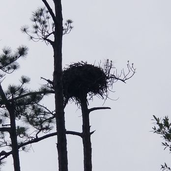 EMBARC SANDESTIN - Updated December 2025 - 56 Photos & 18 Reviews ...