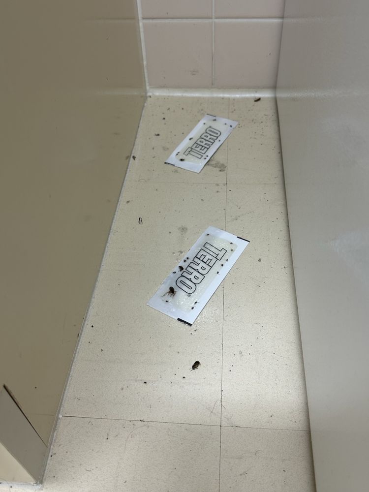 SHOGUN INN - Updated July 2025 - 沖縄市, 沖縄県, Japan - Hotels - Yelp