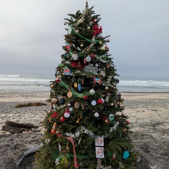 CARDIFF STATE BEACH - Updated May 2026 - 286 Photos & 123 Reviews ...