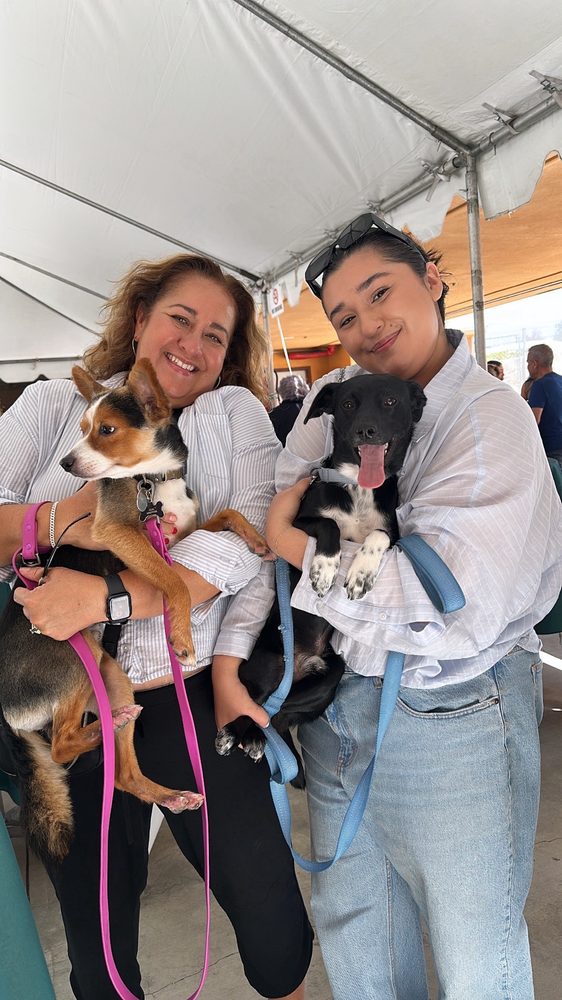 GRIFFITH PET HOSPITAL - Updated January 2026 - 14 Photos & 14 Reviews ...