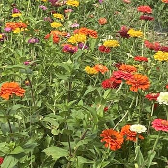 ROUGH CUT BBQ - Updated October 2025 - 41 Photos & 27 Reviews - 438 ...