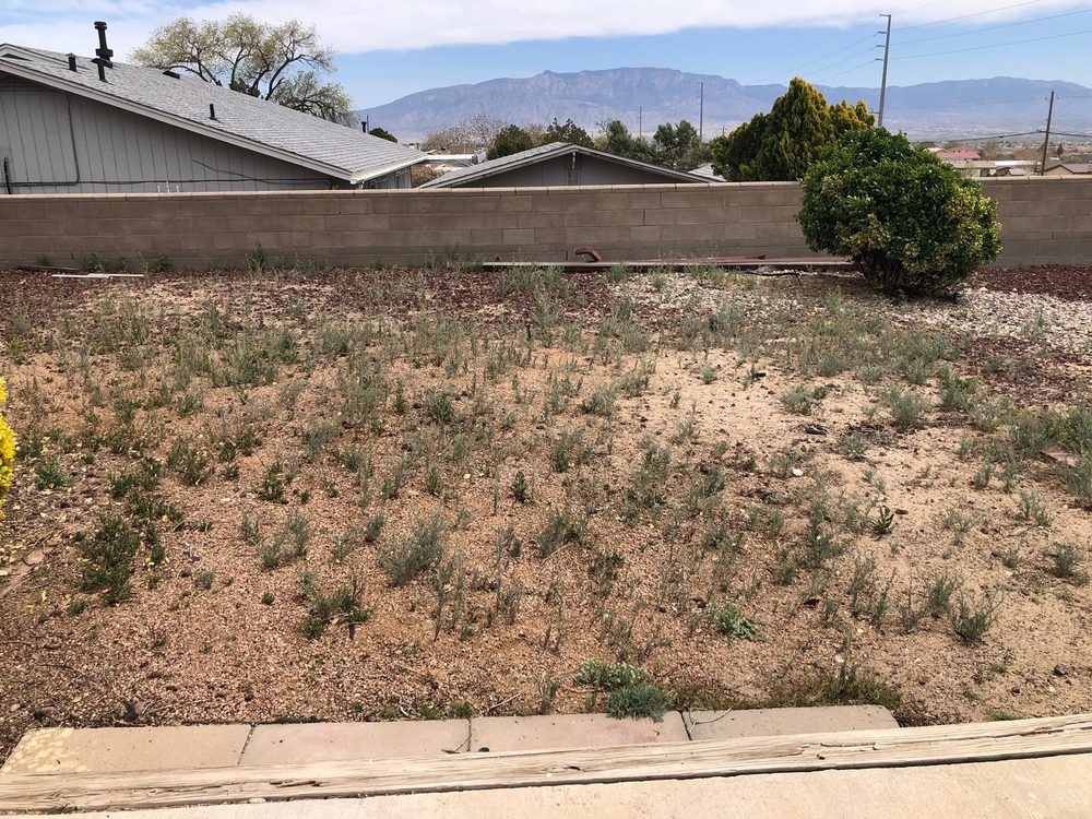 ALBUQUERQUE LANDSCAPES - Updated April 2026 - 11 Photos - Albuquerque ...