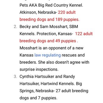 PERFECT PETS - Updated January 2026 - 68 Photos & 103 Reviews - 6840 S ...